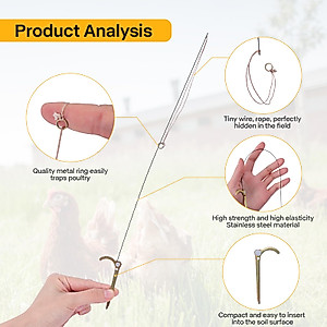 Professional Bird Trap Hunting Trap for Birds Bird Trap for Chicken, Pheasant，Wild Duck, Partridge Mallard and Other Birds Tying Birds' feet Won't Hurt Them