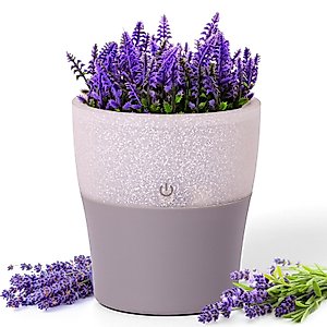 Small Humidifier For Plants, Mini Humidifiers For Bedroom Home, Lavender plant Cool Mist Humidifiers, 150m personal humidifier, Super Quiet And Waterless Auto Shut Off