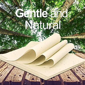 Teenitor 1000 Counts Oil Absorbing Sheets, Oil Blotting Paper, Oil Absorbing Tissues, Face Facial Natural Oil Control Film Blotting for Oily Skin Care Men Women-Jasmine