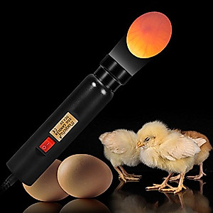Magicfly Bright Cool LED Light Egg Candler Tester, Power by Power Supply Only