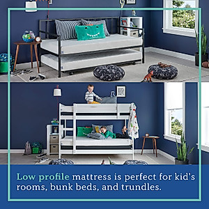 Sealy - Memory Foam Bed in a Box – 6 Inch, Low Profile, Medium Feel, Twin XL Size, CertiPur-US Certified,White