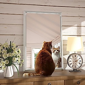 Silver Bathroom Mirror for Over Sink: 65 x 22 Inch Brushed Nickel Bathroom Wall Mirror - Modern Farmhouse Framed Vanity Mirror Hangs Horizontal or Vertical Shatterproof