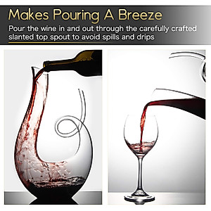 NUTRIUPS Wine Decanter Swan Red Wine Decanters Hand Blown Wine Decanter and Carafe Decanter for Wine