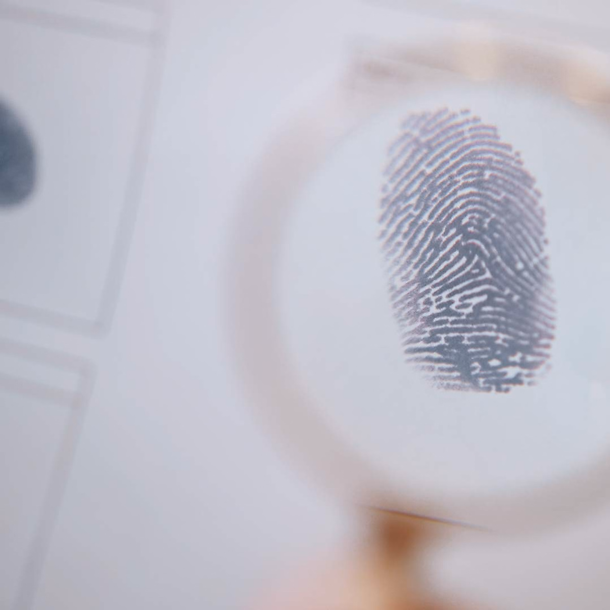 Hidden Games Crime Scene - The New Haven case - USA - Realistic Crime Scene Game, exciting Detective Game, Murder Mystery Game