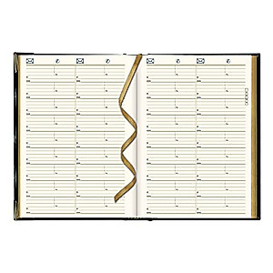 Brownline 2024 Executive Daily Planner, Appointment Book, 12 Months, January to December, Sewn Binding, 10.75" x 7.75", Trilingual, Assorted Colors (CBE514.ASX-24)