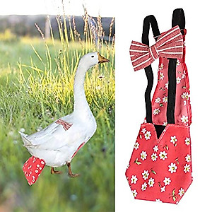 Unibell Pet Poultry Diapers Washable Portable Nappy for Goose Duck Chicken Pigeon (Red M)