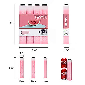 TOURIT Ice Packs for Coolers Reusable Long Lasting Freezer Packs for Lunch Bags/Boxes, Cooler Backpack, Camping, Beach, Picnics, Fishing and More (Set of 4, Red)