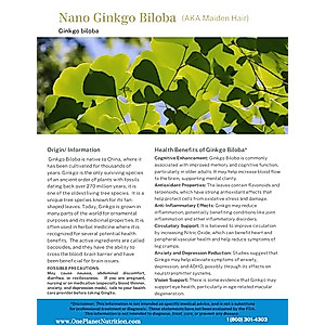 One Planet Nutrition Nano Ginkgo biloba 250 mg Veggie Capsules (120 Servings), Ginkgo biloba Extract, Nano for Higher Absorption, Improves Cognitive Function & Circulation, Non-GMO, Vegan, Gluten Free