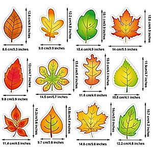 60 Pieces Fall Leaves Accents Cutouts Autumn Thanksgiving Leaf Accents Cutouts Maple Oak Ash Elm Leaf Cutout with Glue Point Dots for Fall Classroom Bulletin Boards Wall Tree Decor (Classic Style)