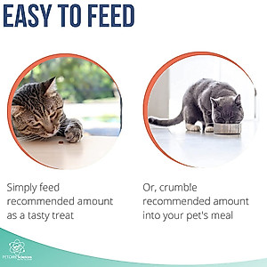 PET CARE Sciences Approx 90 Servings Cat Kidney Support Chews - Feline Kidney Restore - Renal Cat Treats - Cats Kidney Support Supplement - Urinary Tract Irritations Control for Cat - Made in The USA