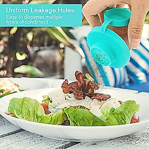 Sophico Small Salt and Pepper Shakers Set with Moisture Proof Sinlicone Lids, 4.5oz Mini Spice Shaker to go for Camping Travel Picnic Lunch Boxes (Mint & Grey, Small & Medium)