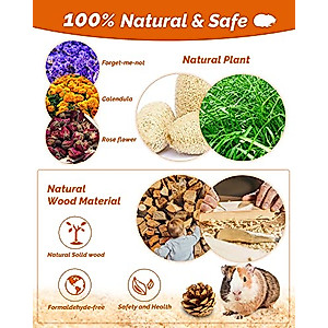 OVERTANG Hamster Toys, Guinea Pig Toys, 18 Pcs Wooden Hamster Toy Set Natural Apple Wood Small Animal Chew Molar Toys for Teeth for Rabbit, Chinchilla, Gerbils, Rats Exercise Accessories