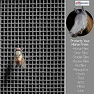 Derby Originals Reflective Mesh Fly Mask with 1 Year Warranty Includes Ears and Nose Cover,Spring Green,Large (Full/Average),72-7109GR-L