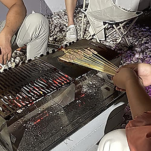 Barbecue Charcoal Grill Stainless Steel Folding Portable Bbq Tool Kits For Outdoor Cooking Camping Hiking Picnics Tailgating Backpacking Or Any Outdoor Event (Barbecue Charcoal Grill)