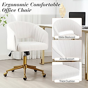 Homedraft Home Office Swivel Desk Chair, Modern Velvet Desk Chair, Height Adjustable Armchair with Gold Base, Ergonomic Office Chair for Living Room Vanity Study Computer Room, Cream