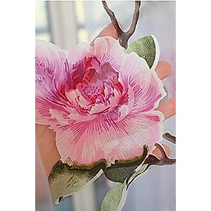 Dolce Mela DMC478 Sheer Curtain Panels 60 x 100 inch Tall Window Treatments, Paris Bedding & Home Decor