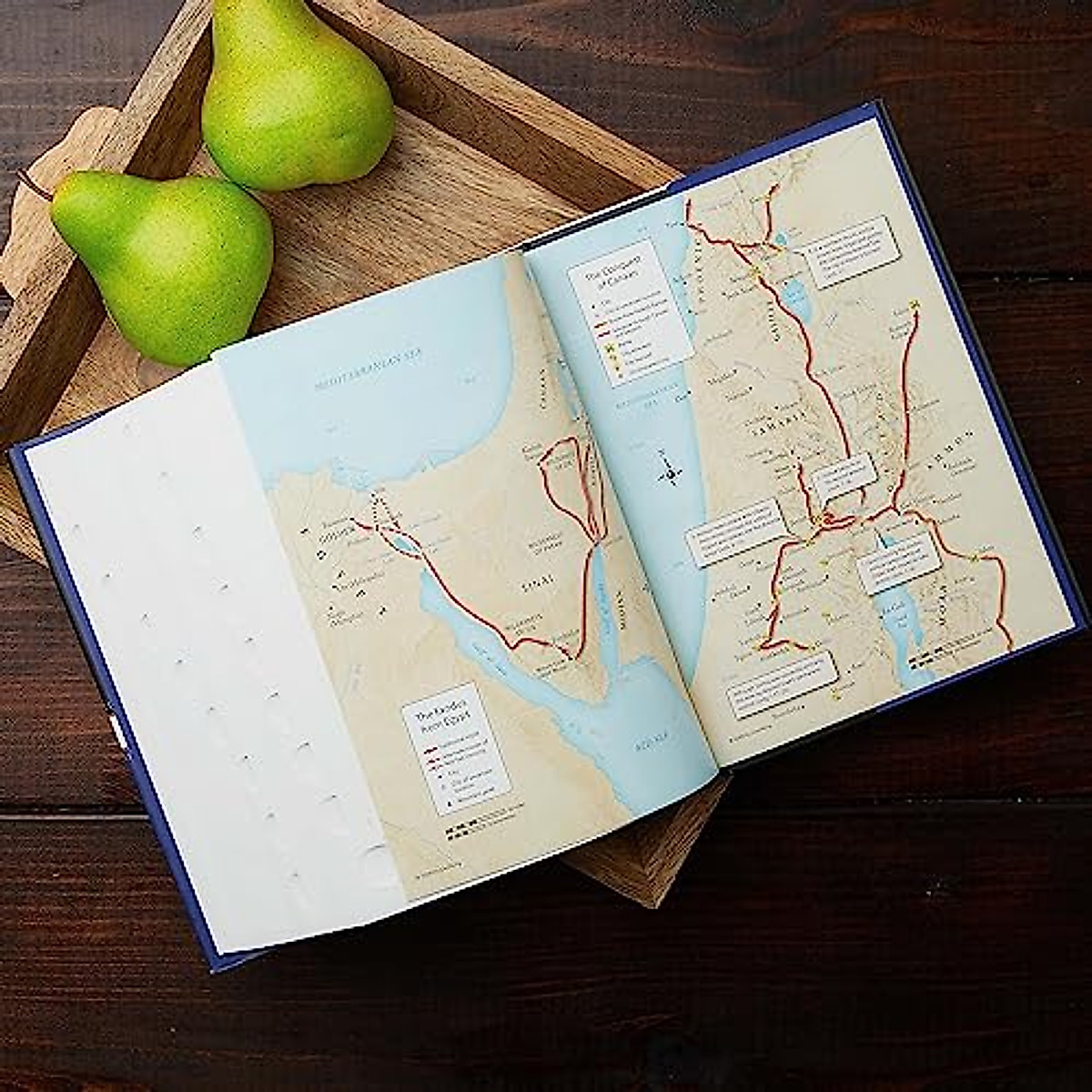 NKJV, The MacArthur Study Bible, Large Print, Bonded Leather, Black, Thumb Indexed: Holy Bible, New King James Version