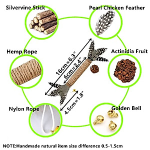 GREMBEB Cat Toys, 4 Pack Silvervine Cat Feather Toy Kitten Chew Stick Catnip Treat with Bell for Cleaning Teeth Indoor Kitty Teaser Wand Molar Snack for Interactive Pet Rabbit Bunny Hamster