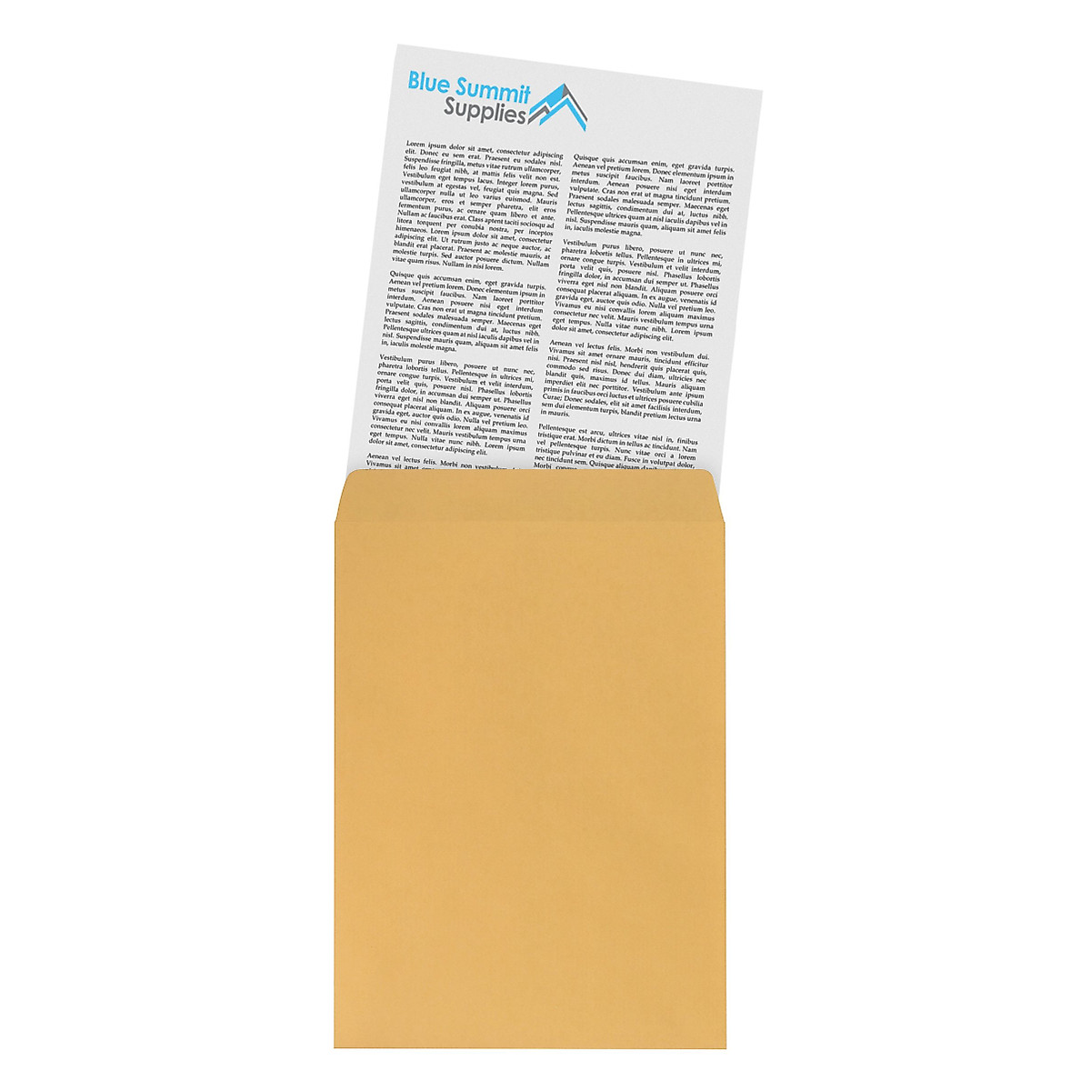 100 9 X 12 Self Seal Golden Brown Kraft Catalog Envelopes - Designed for Secure Mailing - Oversize Strong Peel and Seal Flap with 28 Pound Kraft Paper- 100 Envelopes