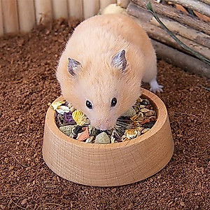 Rubor Hamster Food Bowl, Wooden Guinea Pig Food Dish Feeding Bowl for Small Animal Dwarf Hamster Syrian Gerbil Mice Degu Chipmunk Squirrel Hedgehog (Large)