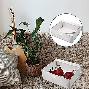 Cabilock Socks Underwear Cloth Drawer Organizer Cabinet Closet Organizer Storage Box with Lid for Clothes Socks Lingerie Underwear Ties