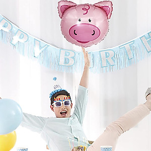 HORUIUS Pig Balloons Pink Pig Shaped Foil Mylar Balloon Farm Animals Balloons for Baby Shower Farm Animals Theme Birthday Party Supplies Decorations 5PCS