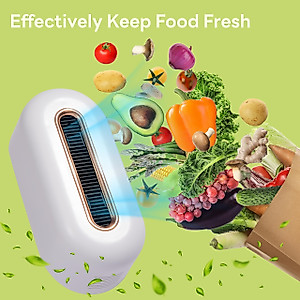 Mini USB Fridge Deodorizer Refrigerator: Odor Eliminator Reusable Ozone Odor Deodorizer USB Rechargeable with Hanging Holder for Fridge, Car, Closet, Wardrobe