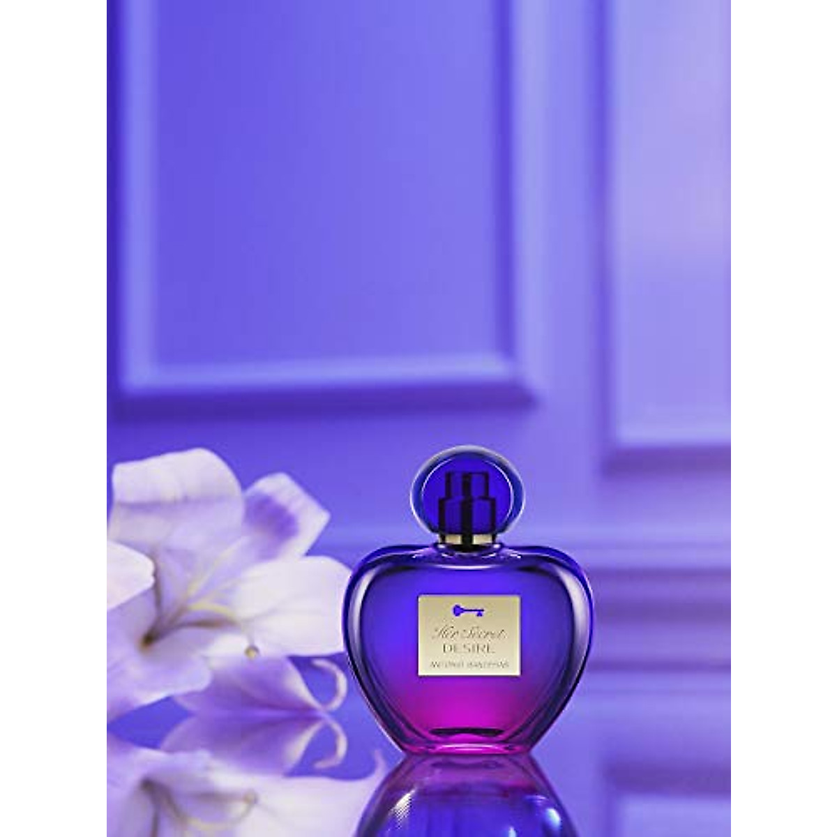 Antonio Banderas Secret Femenine (Her Secret Desire, 2.7 Fl Oz)