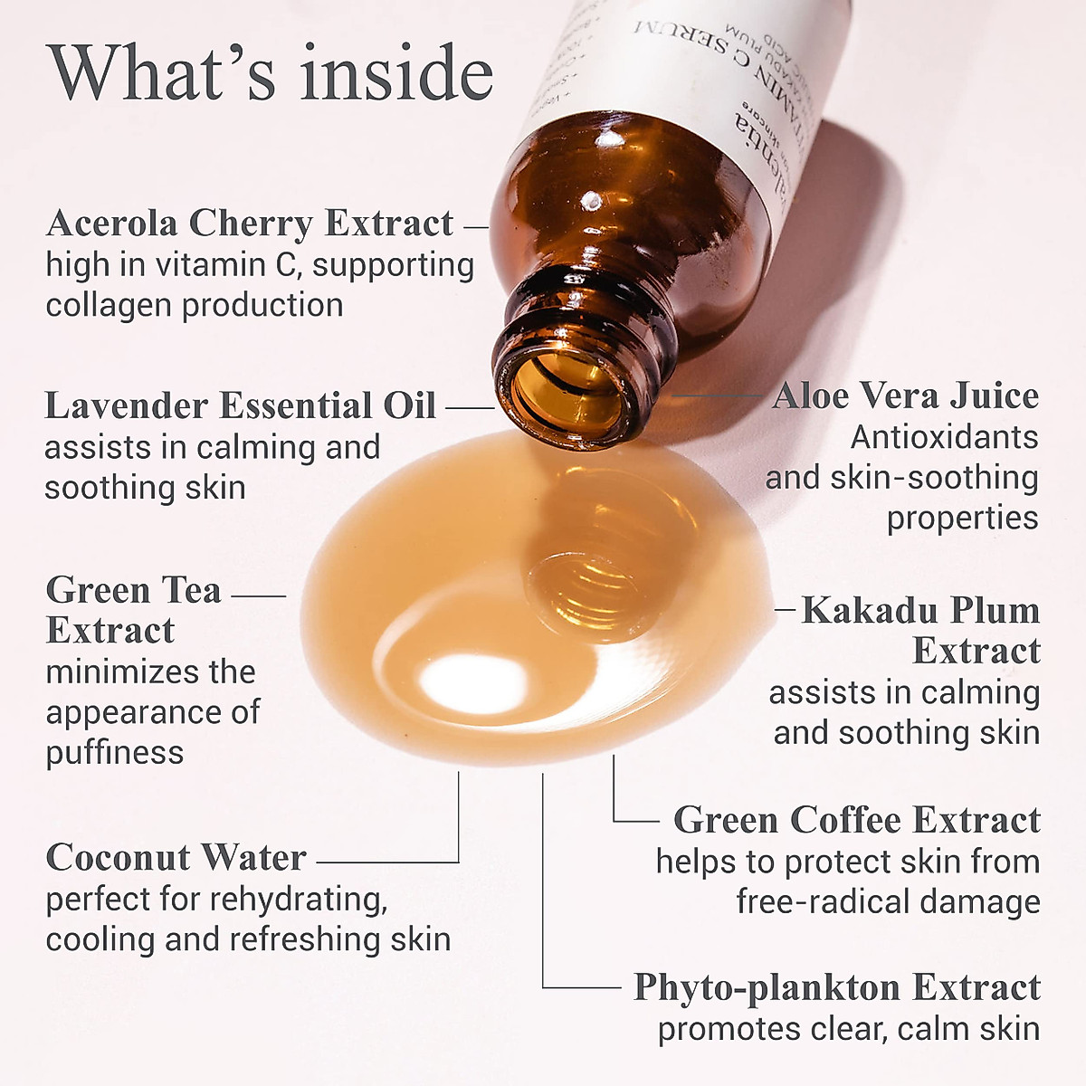 Valentia Pure Concentrated Vitamin C Serum for Face and Neck. Suitable for All Skin Types. No Parabans, Phthalates or Synthetic Vitamin C, Vegan Whole-Plant Extracts of Kakadu Plum, Acerola Berry.