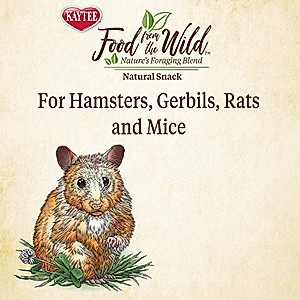 Kaytee Food from The Wild Natural Snack for Pet Hamsters, Gerbils, Rats and Mice, 2 Ounces
