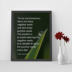 Identify And Water The Positive Seeds Every Da -Thich Nhat Hanh Positive Affirmation Wall Art, Spiritual Wall Decor Print For Home Decor, Office Decor, Apartment Decor, or Zen Room, Unframed - 8x10