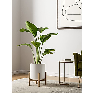 LE TAUCI Ceramic Plant Pots Indoor, 10 Inch 8 Inch 6 Inch Planters for Indoor Plants, Mid-Century Modern Flower Pots with Drainage Hole and Plug, Cylinder Round Planter Pots, Set of 3, White