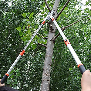 THANOS A1101 Extendable Anvil Loppers Tree Trimmer with Compound Action,Chops Thick Branch Ease,28-40'' Telescopic Heavy Duty Branch Cutter,2 inch Clean Cut Capacity.