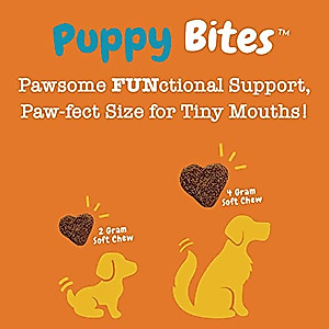 Zesty Paws Puppy 8-in-1 Multivitamin Soft Chews - Glucosamine & Chondroitin for Hip & Joint Health - Omega 3 Fish Oil for Skin - Gut, Immune, Heart, Kidney & Liver Support for Puppies - 90 Count