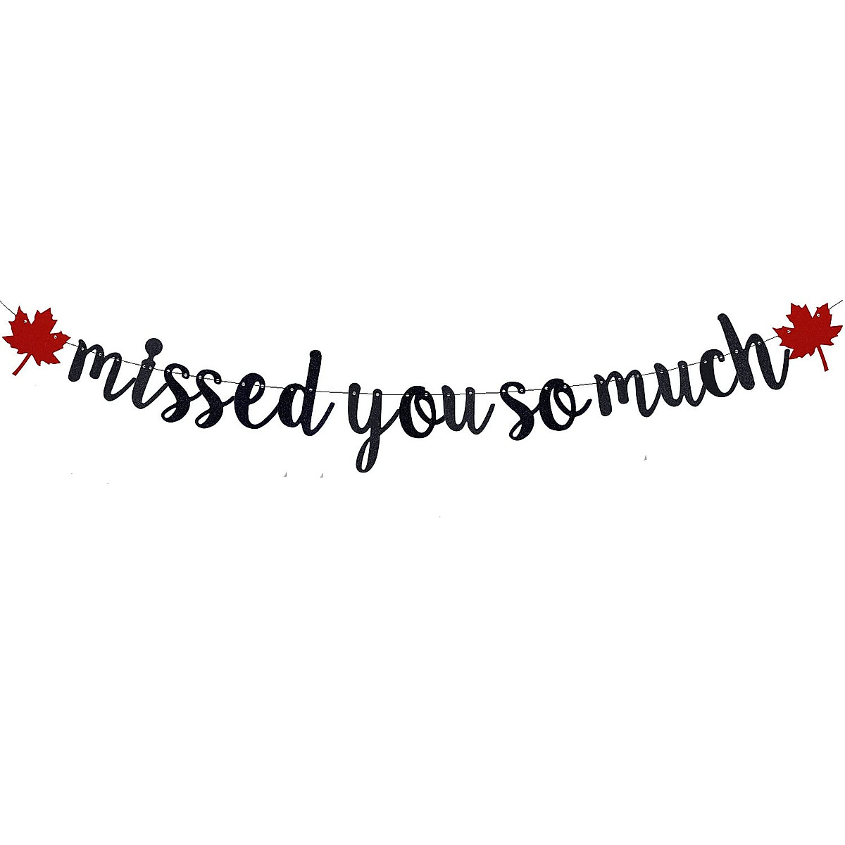 QWLQIAO We Will Miss You Banner Decorations Missed You So Much Banner, Black Glitter Welcome Back Sign Family Party Supplies ,Deployment Returning Military Army Homecoming Party