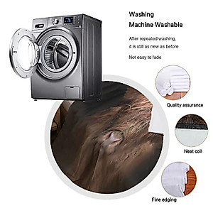 Highland Cow Blanket Super Soft Warm Highland Cow Throw Blanket - Lightweight Cozy Flannel Cow Print Throw Blanket Bed Couch Sofa Office Decor, Gift for Girls and Boys Women and Man 50"x40"