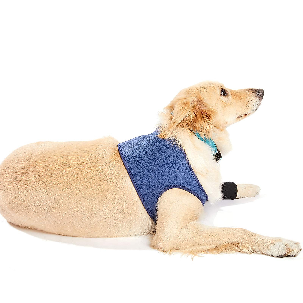 Dog Recovery Suit, Cone Collar Alternative, Abrasion Resistant Dog Recovery Sleeve, Washable 2.5mm Thick and Waterproof, Pet Wounds Prevent Licking, Bite, Keep Dry (XL)