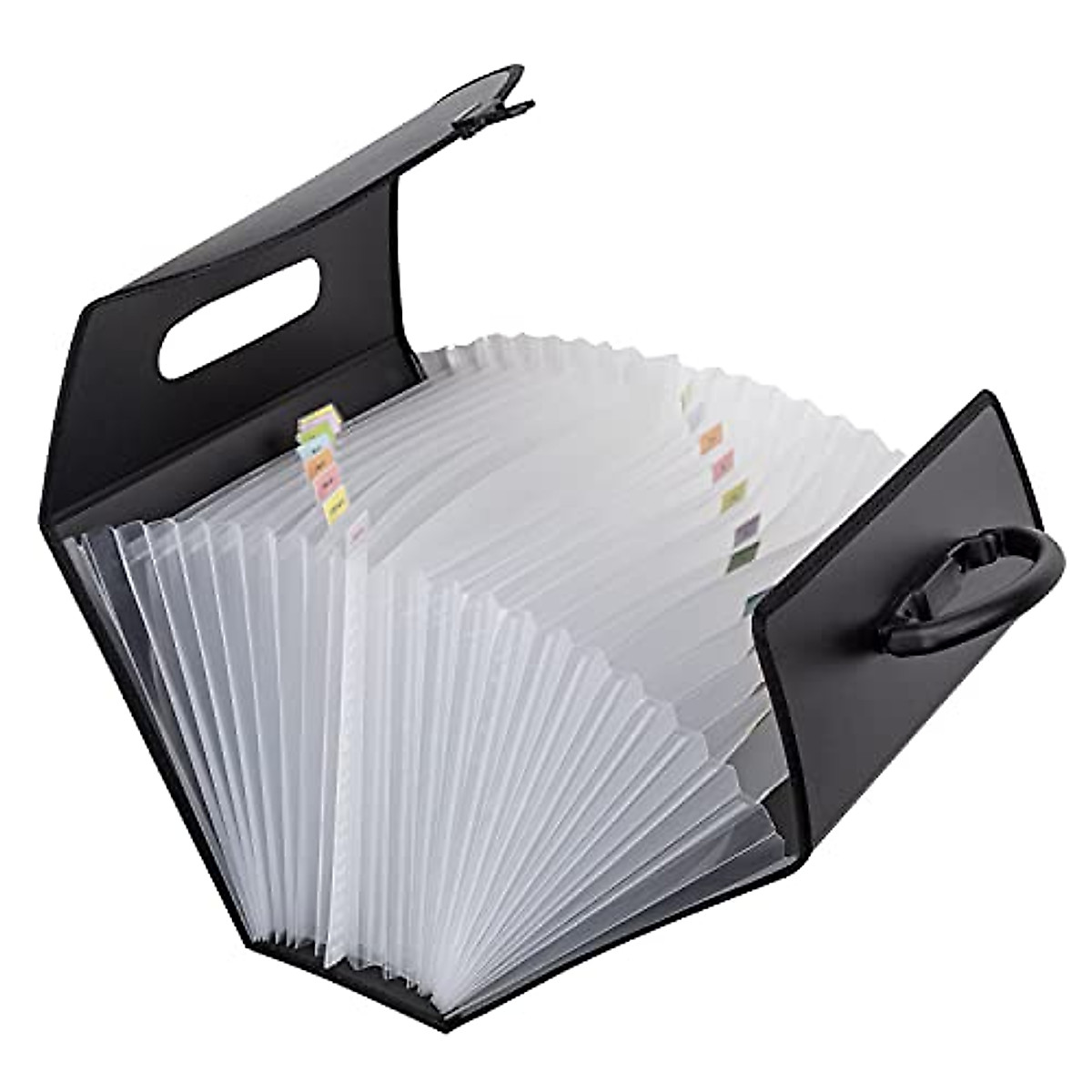 C-Line 21-Pocket Poly Expanding File with Handle, Includes Tabs, Locking Closure, Legal Size, Black (58320), Traditional