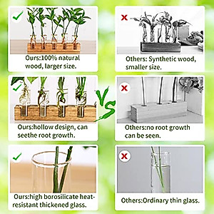 HUSSLEAN Propagation Stations Terrarium with Wooden Stand,Desktop Glass Vase Plant Holder for Hydroponics Water Plants Cutting,Home Garden Office Decor,Plant Holder Lover Gifts(5 Test Tubes Love)