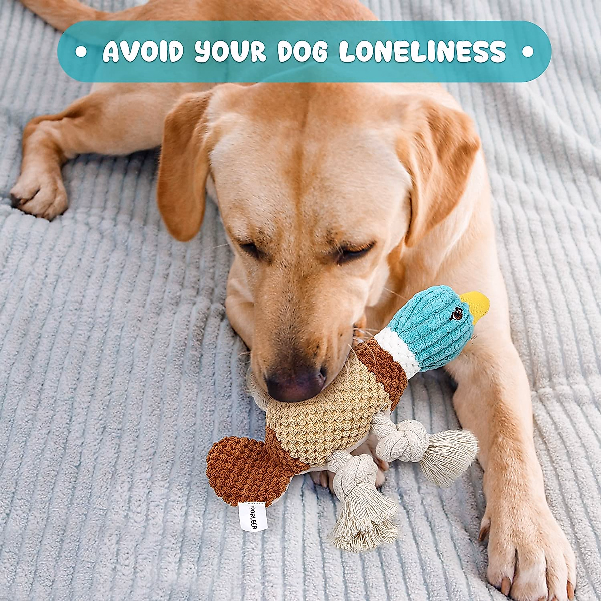 IPORLEER Squeaky Dog Toys, Stuffed Dog Toys for Large Dogs, Soft & Durable Plush Dog Chew Toys with Crinkle Paper for Puppies