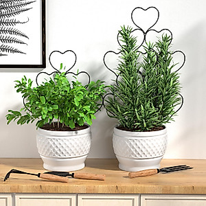 Ailibre Indoor Plant Trellis for Climbing Plants, Stackable Garden Trellis for Potted Plants, Small House Plant Trellis for Vine Ivy Flower Plant Support Outdoor DIY Metal Trellis 3 Pack, Black