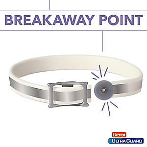 Hartz UltraGuard Flea & Tick Collar for Cats and Kittens, 7 Month Flea and Tick Protection and Prevention, Reflective Collar