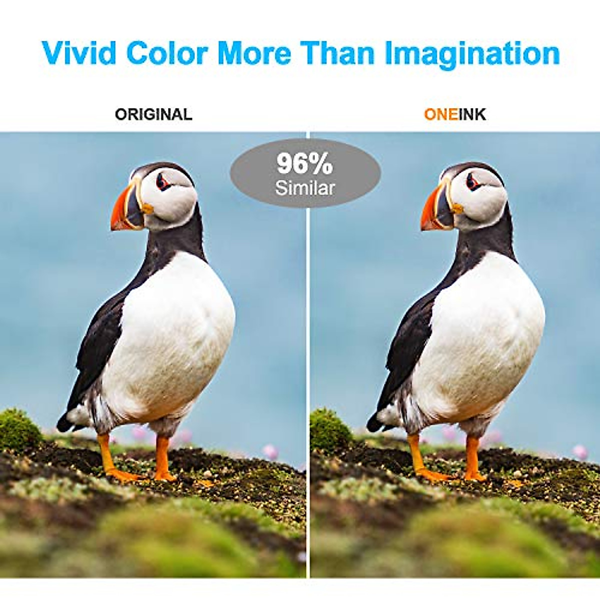 ONEINK Compatible Ink Cartridges Replacement for HP 564XL 564 XL for HP Deskjet 3520 3522 Officejet 4620 Photosmart 5520 6510 6515 6520 7510 7520 Printer,10 Packs (4 Black,2 Cyan,2 Magenta,2 Yellow)