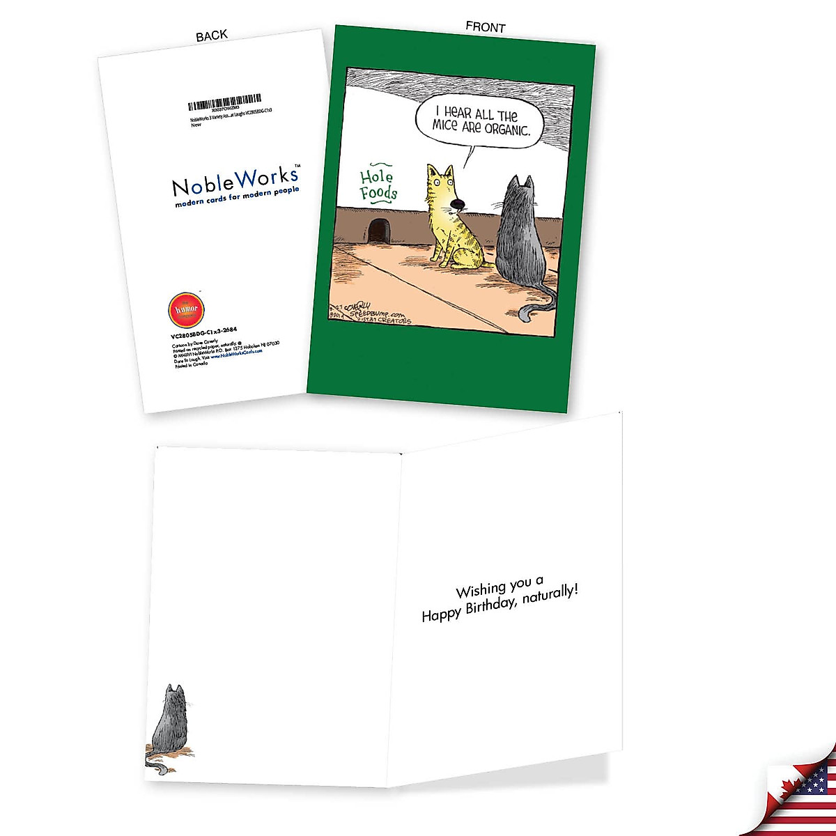 NobleWorks Assorted 3 Pack of Cats Humor Birthday Cartoons Greeting Cards with Envelopes (3 Designs, 1 Each) Cat Laughs VC2805BDG-C1x3