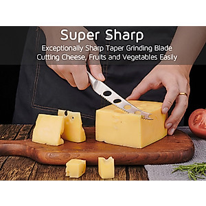 WELLSTAR Cheese Knife, Serrated Tomato Knife 5 Inch Sharp High Carbon Stainless Steel Blade for Cutting All Cheese Types – Silver