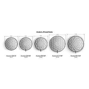 KOHLER K-72418-CP Awaken G90 Multifunction Showerhead, Polished Chrome