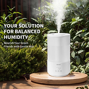 Clarston Humidifiers for Bedroom, 4L Cool Mist Humidifier with Essential Oils Diffuser and Nightlight, Top Fill Humidifiers for Home Large Room, Timer, Auto Shut-off, 40H Runtime