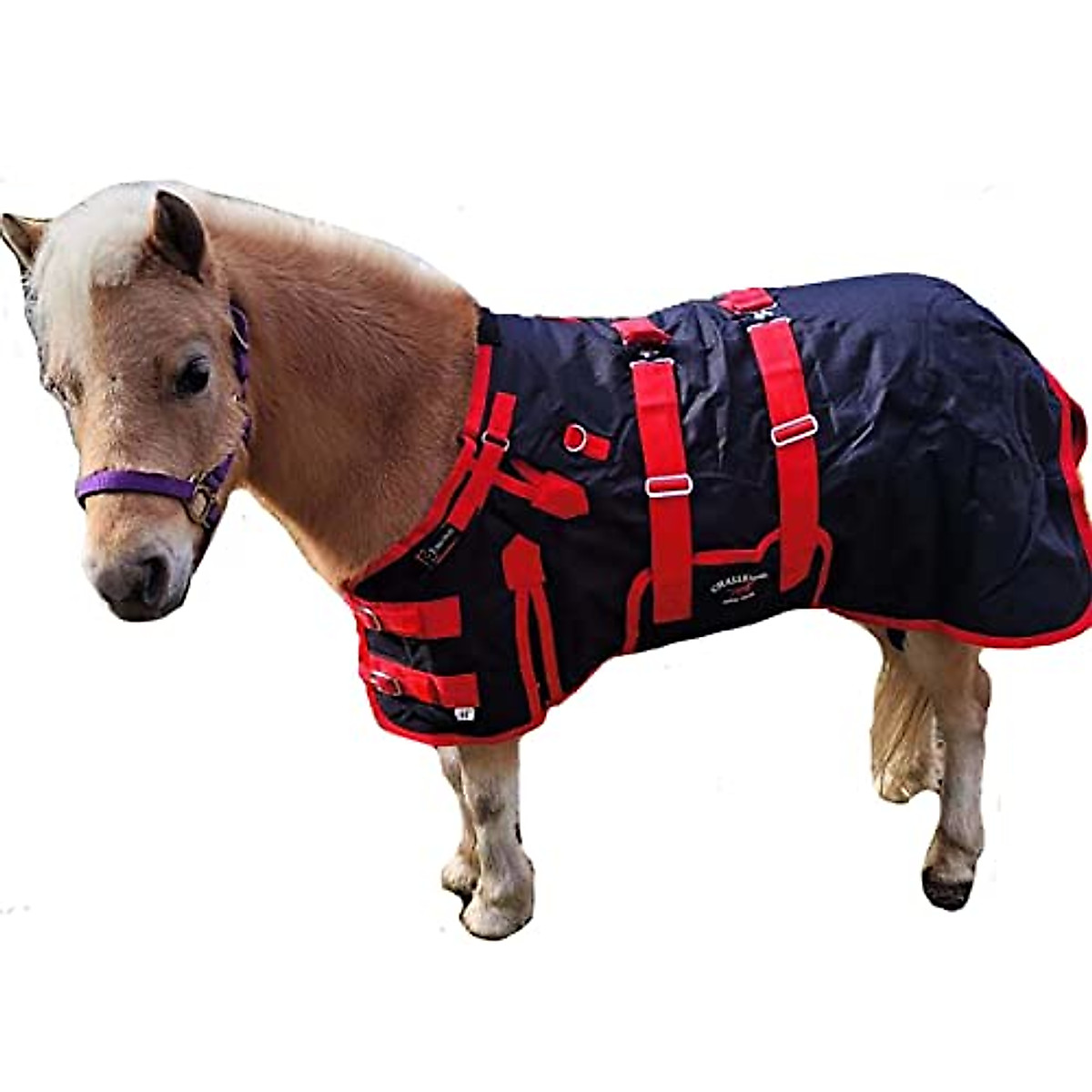 CHALLENGER 40" 1200D Miniature Weanling Donkey Pony Horse Foal Winter Blanket Red BLK 51946