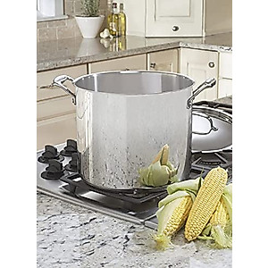 Cuisinart 12-Quart Stockpot w/Lid, Chef's Classic Collection, Silver, 766-26AP1