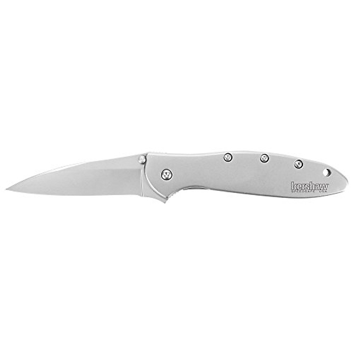 Kershaw Leek Pocket Knife, 3" 14C28N Stainless Steel Drop Point Blade, Spring Assisted Knife, Folding EDC